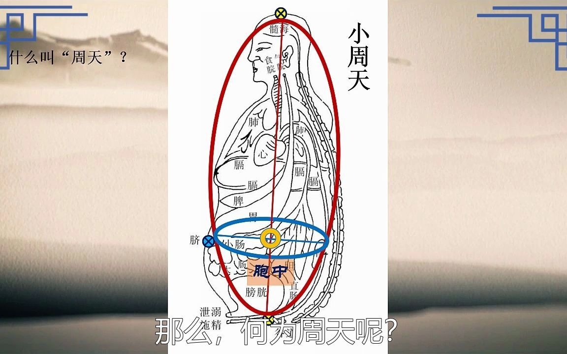 子午周天的一周就是小周天
