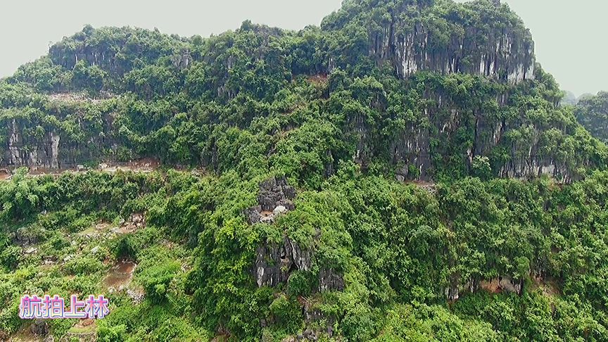 航拍上林:白圩覃排“M字山”长龙宝地,你们猜大穴在何处呢?