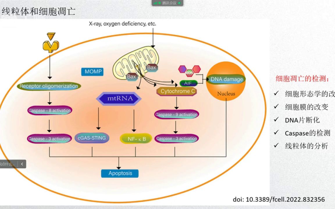 X-21-生物信息学基础入门(含相关数据库及软件的应用)医学会员免费学