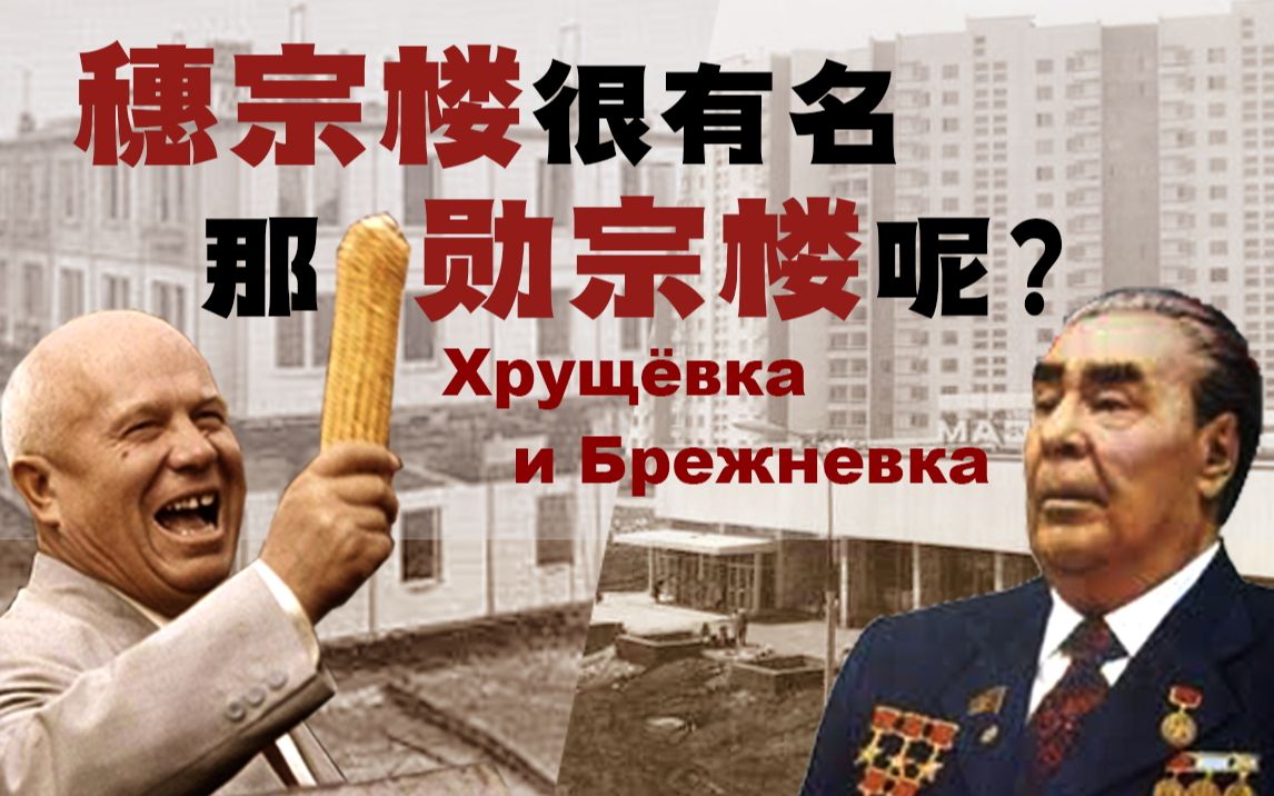 勃列日涅夫楼长什么样的?【使徒子】