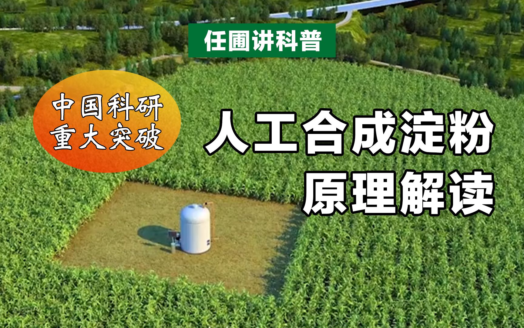【任圃讲科普】人工合成淀粉的原理是什么?有哪些重要的意义?