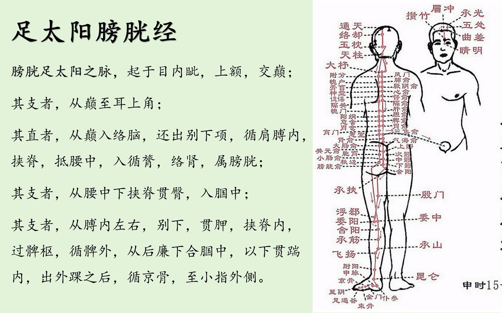 十二经络唱歌背诵法--《足太阳膀胱经》#外婆的澎湖湾#