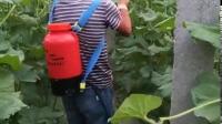 科能电动喷花器甜瓜授粉