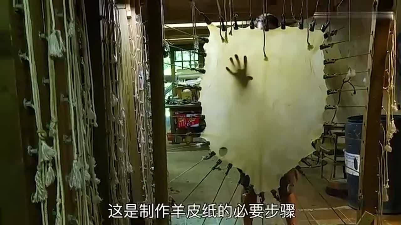 一张羊皮是如何制成羊皮纸的?3分钟带你了解,羊皮纸制作全过程
