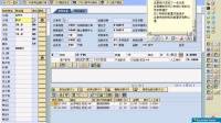 SAP二次开发_带特性输入的自定义销售订单界面实例