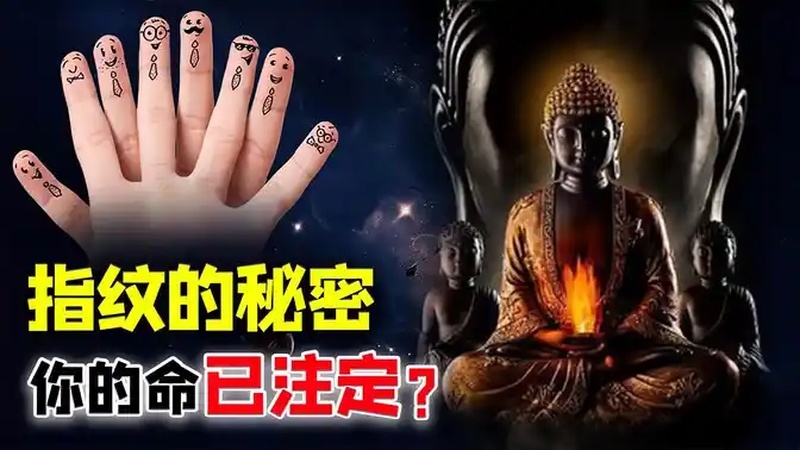 人类指纹的斗和簸箕有什么秘密?基因有诅咒?未来早已注定?