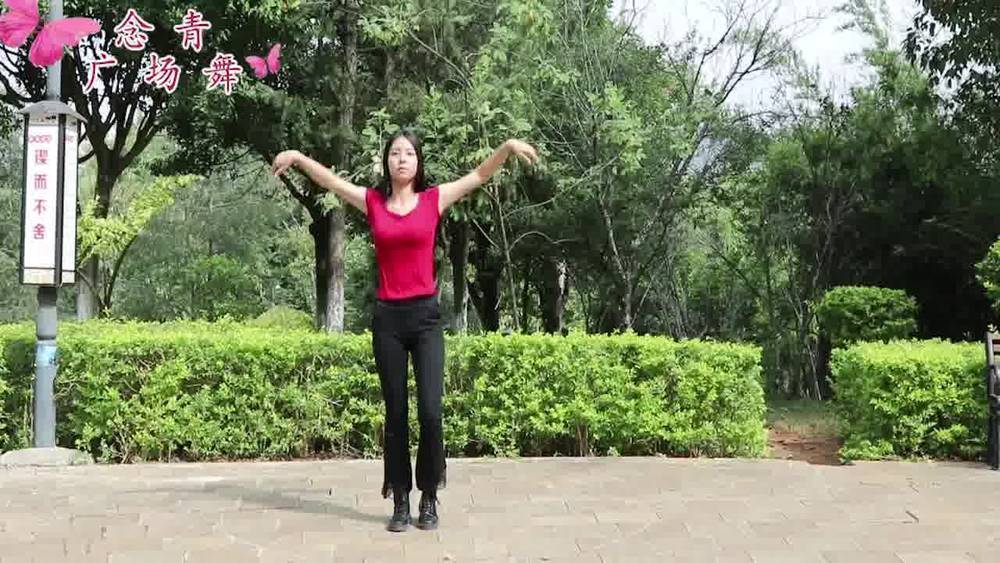 经典老歌《你的样子》,广场舞动感迷人,美女舞姿太美