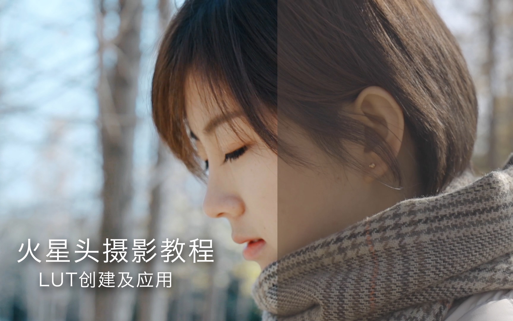 如何在lr中创建lut