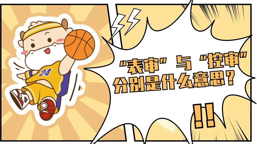 注会CPA审计:“表审”与“控审”分别是什么意思?