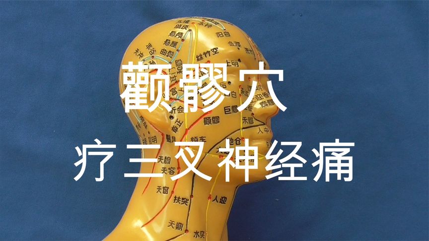 颧髎穴主治:面赤目黄,眼瞤动不止,䪼肿齿痛