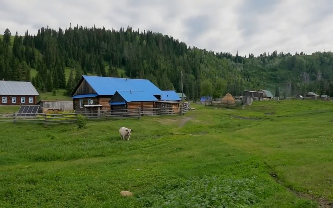 沒有道路和通讯的偏远针叶林村庄---俄罗斯