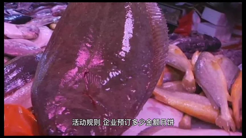 #宣传片 公益活动