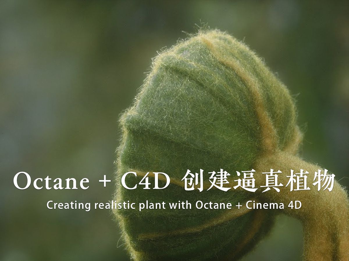 C4D+OC | 创建逼真的植物外观 【机翻】