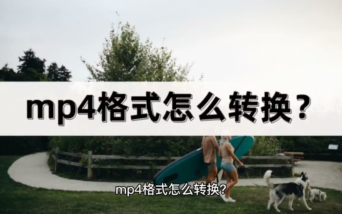 mp4格式怎么转换?两个好用的转换方法