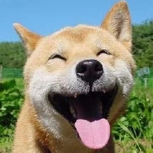 希尔伯特大哥 