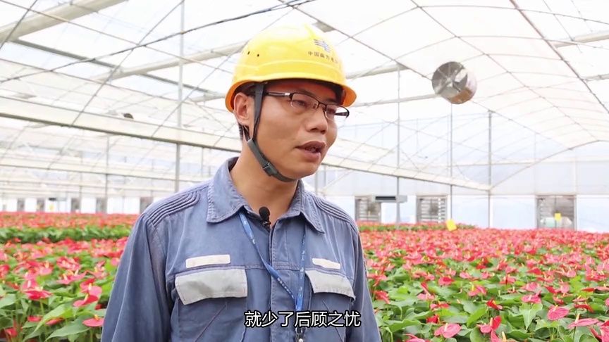 安全用电助力乡村振兴农业发展