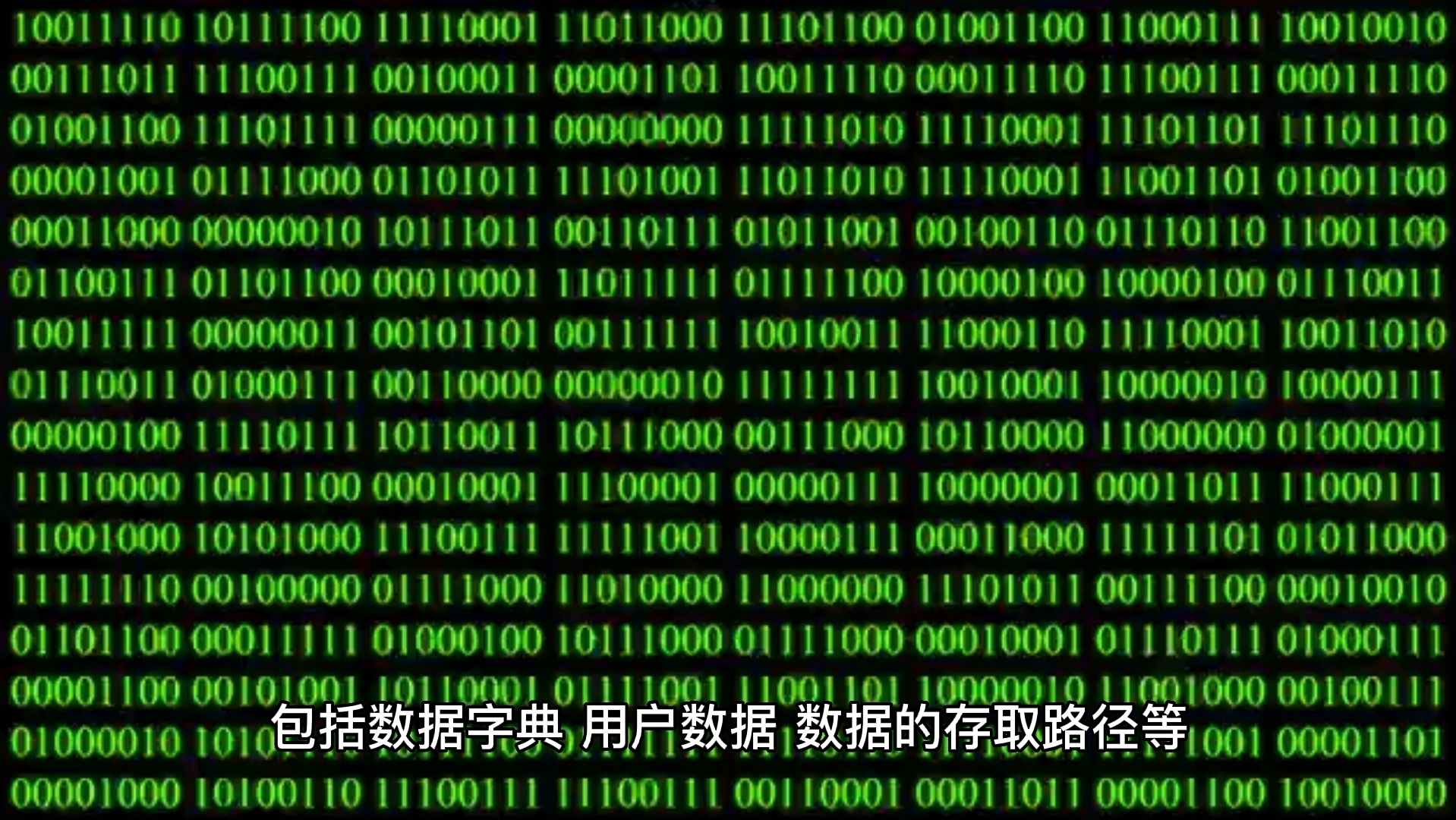 数据库管理系统