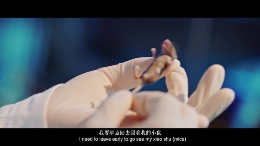 北京大学2019年宣传片:在北大是一种怎样的体验?