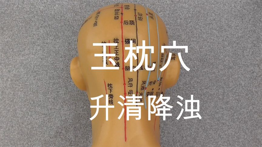 玉枕穴主治:目痛如脱,不能远视,内连系急,头风痛不可忍