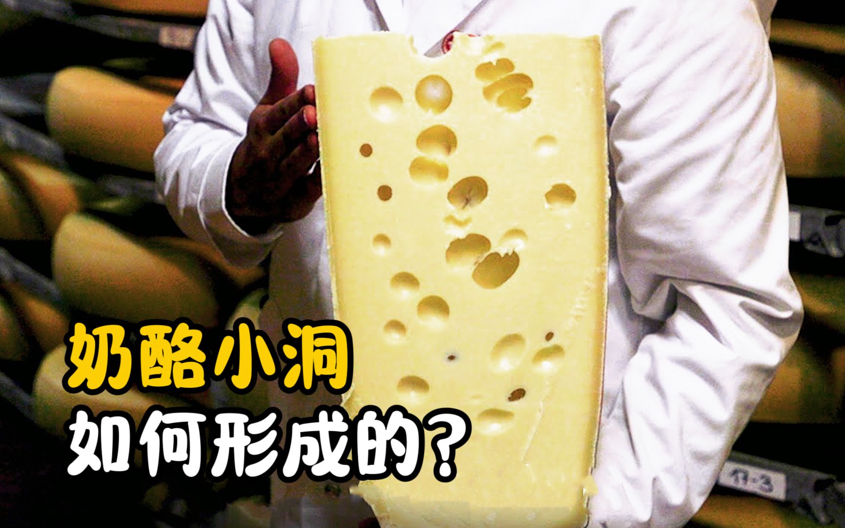 为什么奶酪里面会有小洞?它们是如何形成的?