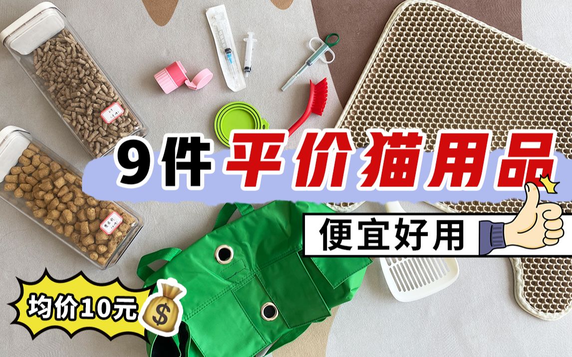 9件比较冷门却很实用的猫用品分享,90块承包你的养猫生活