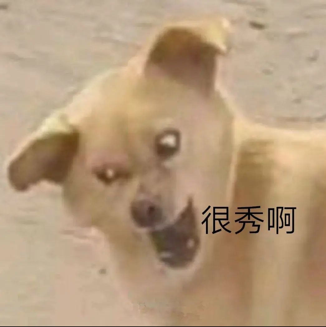 哦咧哇憨八嘎 
