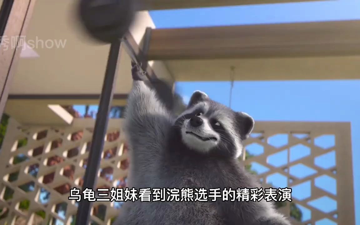 动物运动会,动物之间的体育比赛,太有趣了,爆笑动画短片