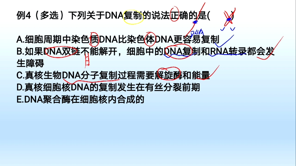 #高考#高中生物 DNA分子的结构、复制及基因的本质 典例4