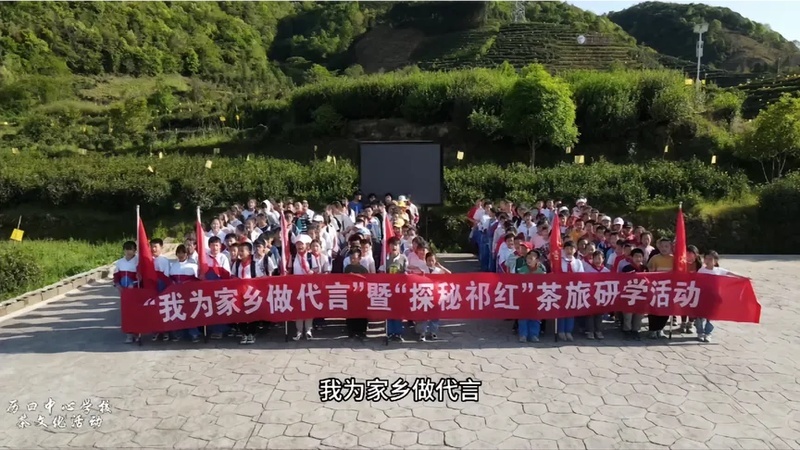 历口中心学校茶文化系列活动·我为家乡做代言·探秘祁红茶旅研学