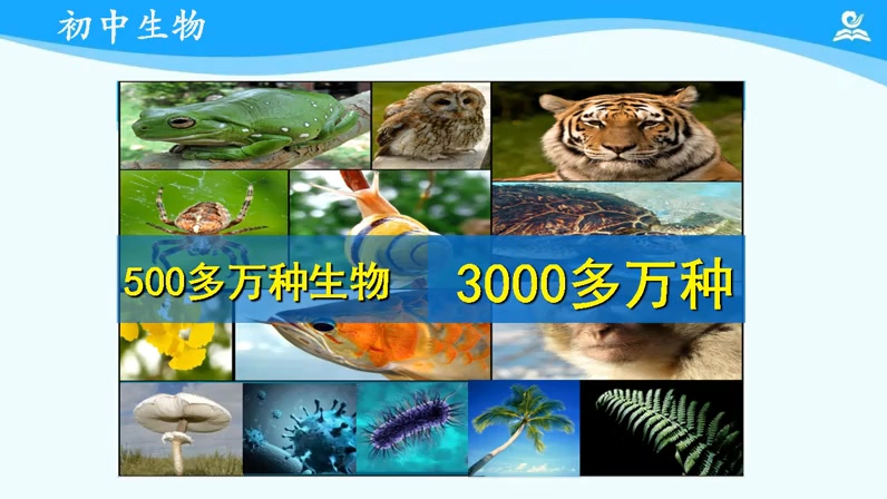 八下第七单元第三章第二节生物进化的历程