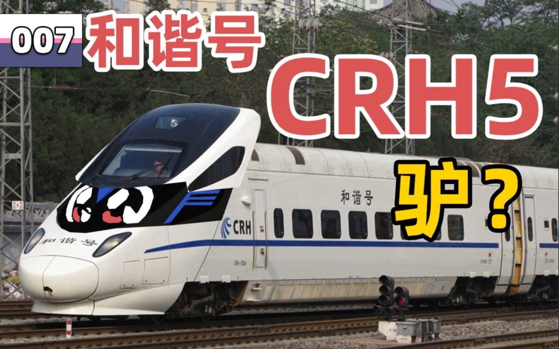 【CRH5】驴来了!和谐号动车中脸最长的一位
