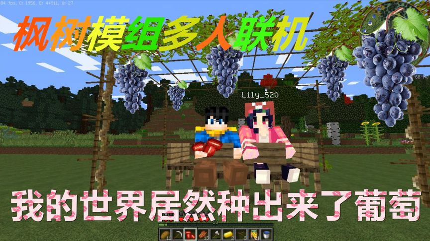 我的世界枫树模组俩主播葡萄种子都不会找?他们居然还种上了葡萄