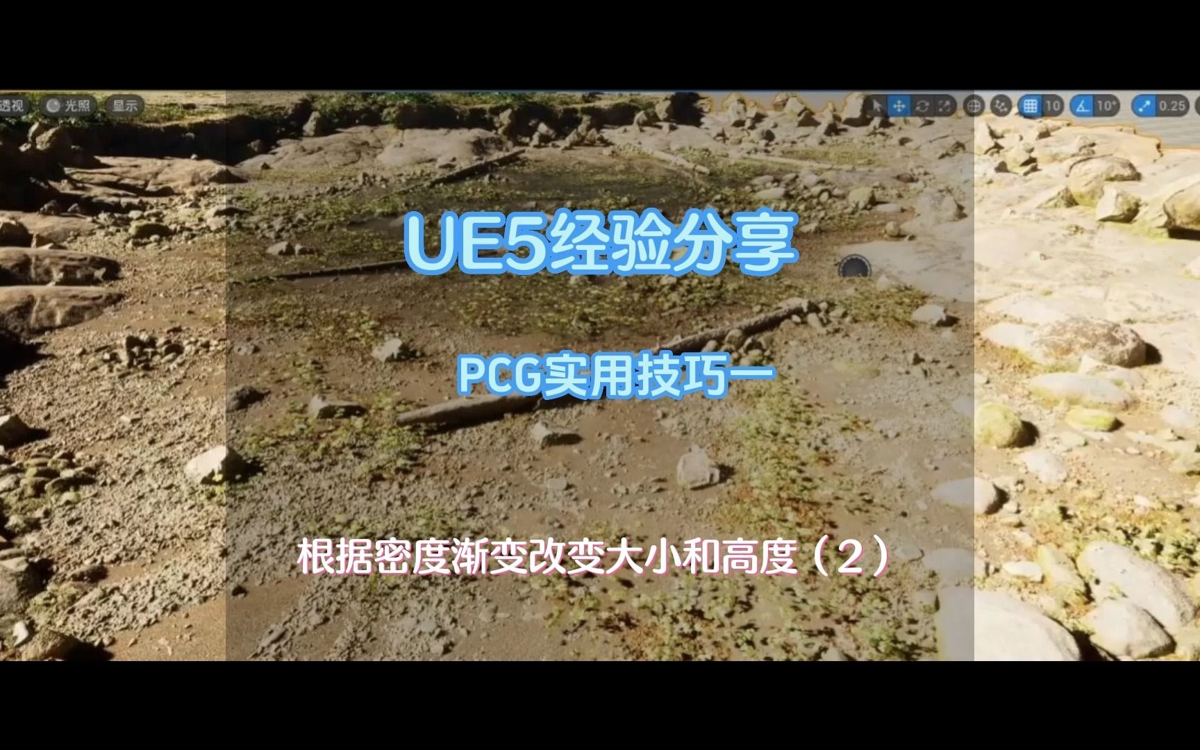 UE5经验分享——1.根据密度渐变改变大小和高度(下)