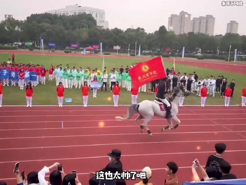 大学运动会竟然内卷到程度了大学生计划助手
