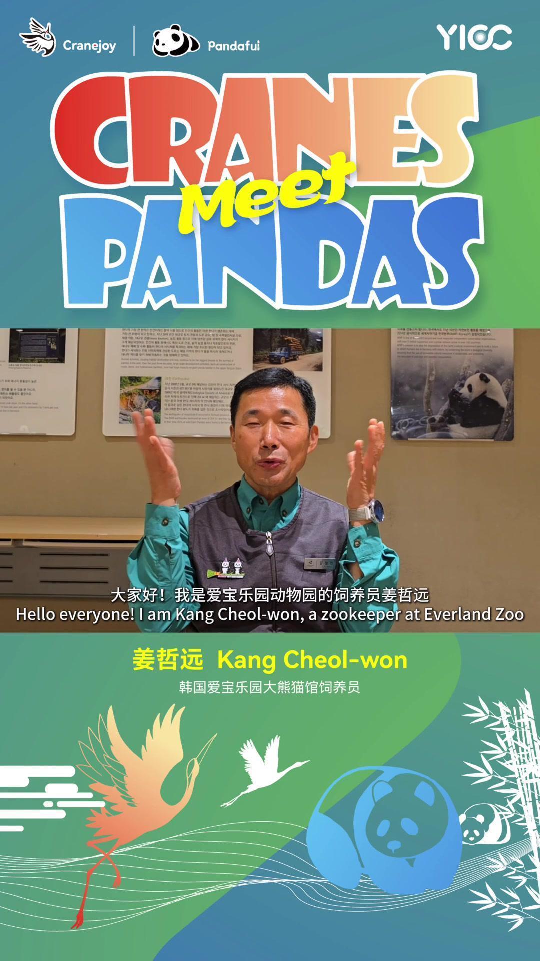 ...Pandas"海媒全球传递活动精彩继续!来自韩国爱宝乐园的大熊猫馆...