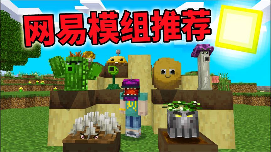 我的世界手机版模组推荐!可以戴在头上的植物大战僵尸?!
