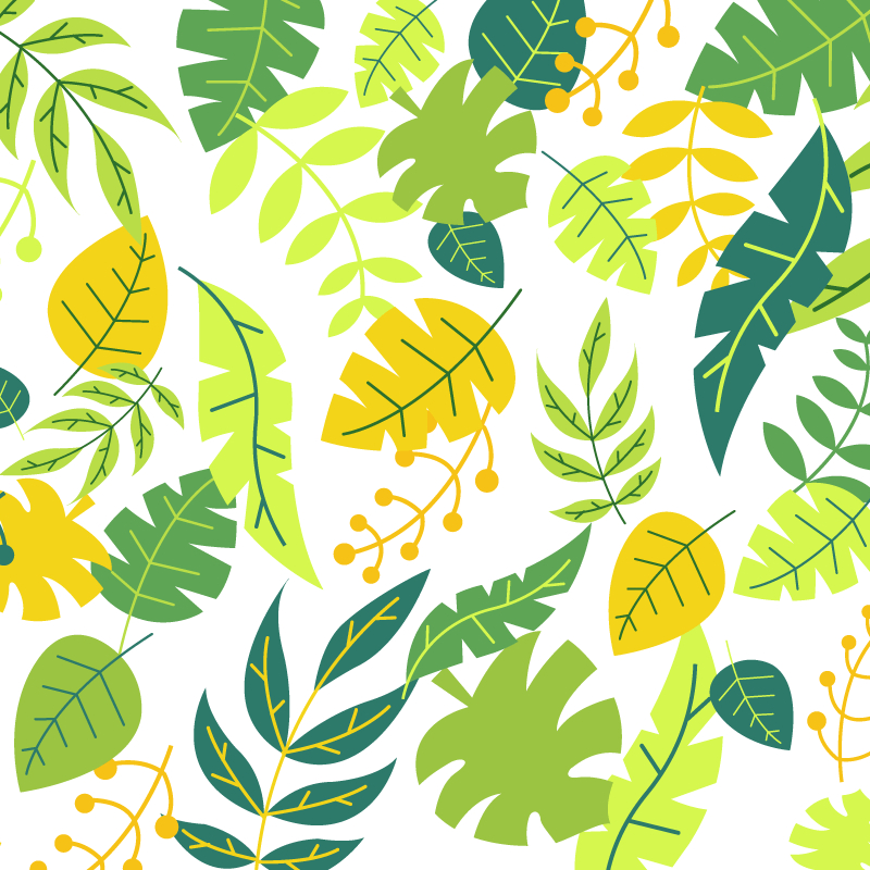 时光静好一叶知秋 