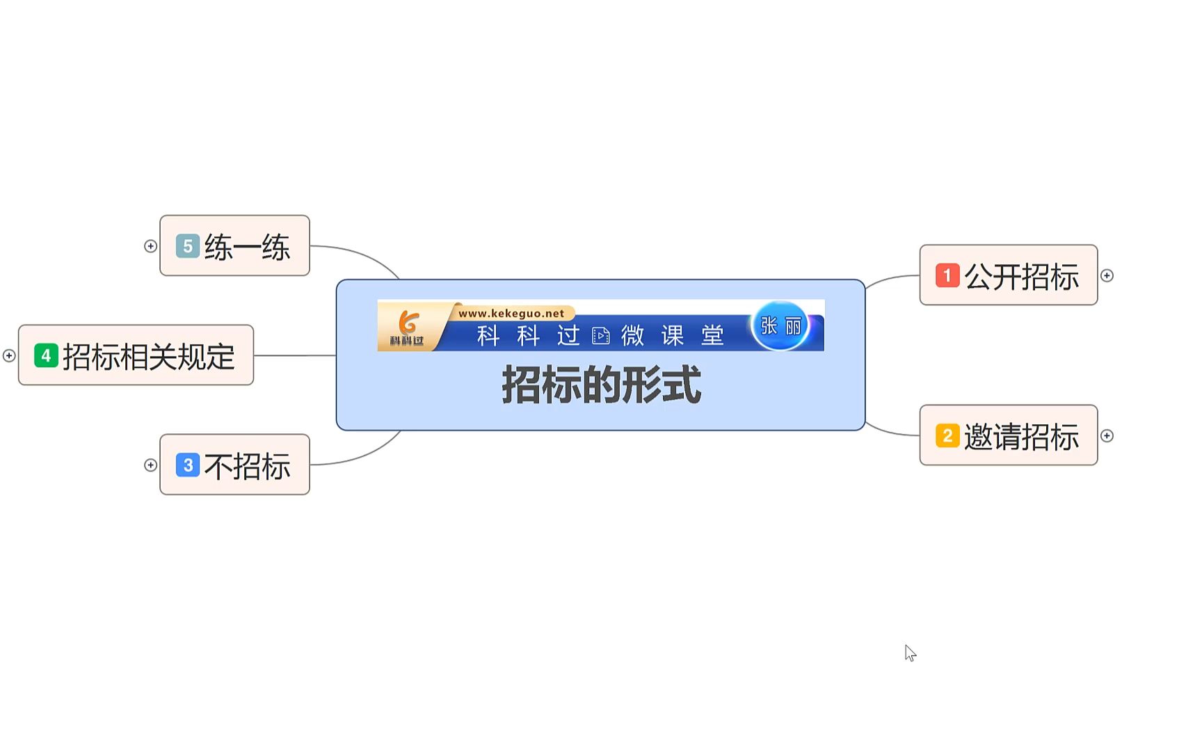 系统集成项目管理工程师 招标的形式
