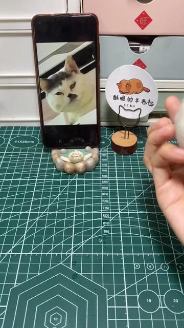 羊毛毡,羊毛毡戳戳乐,宠物纪念,手工diy,仿真