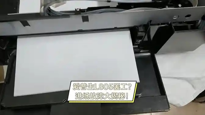 爱普生L805罢工?进纸故障大揭秘!