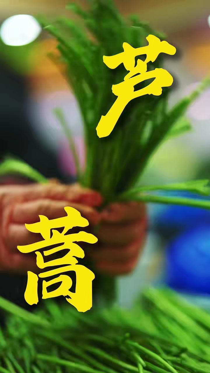 淮扬菜烹饪名师推荐菜谱:开洋菜薹!扬州姑娘的春季减脂秘方,碧绿的,...