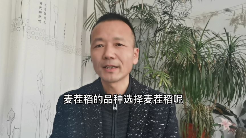 水稻品种选择(二)麦茬稻