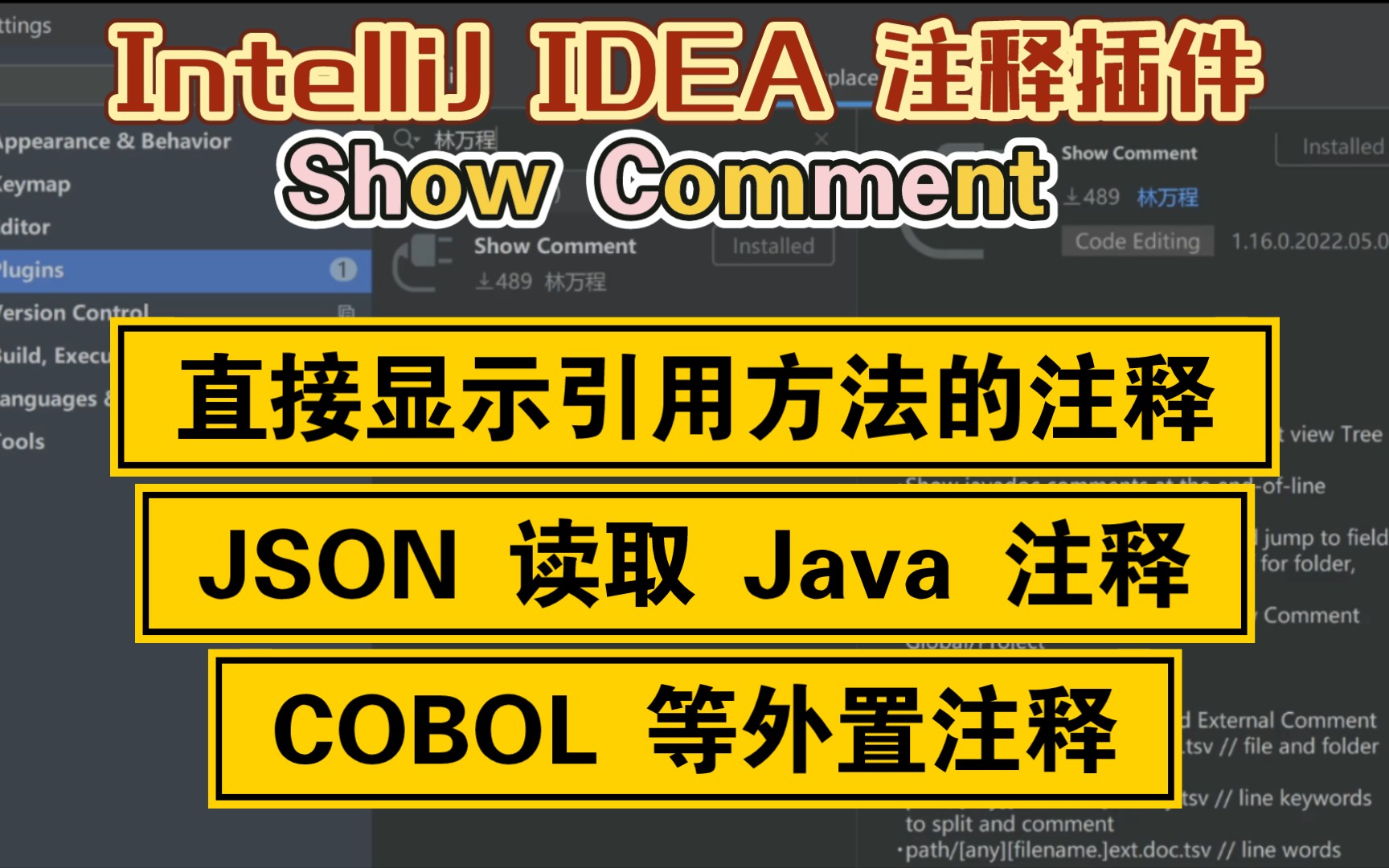 IntelliJ IDEA 注释插件,在文件树、行末、json显示文档注释,实现中文...