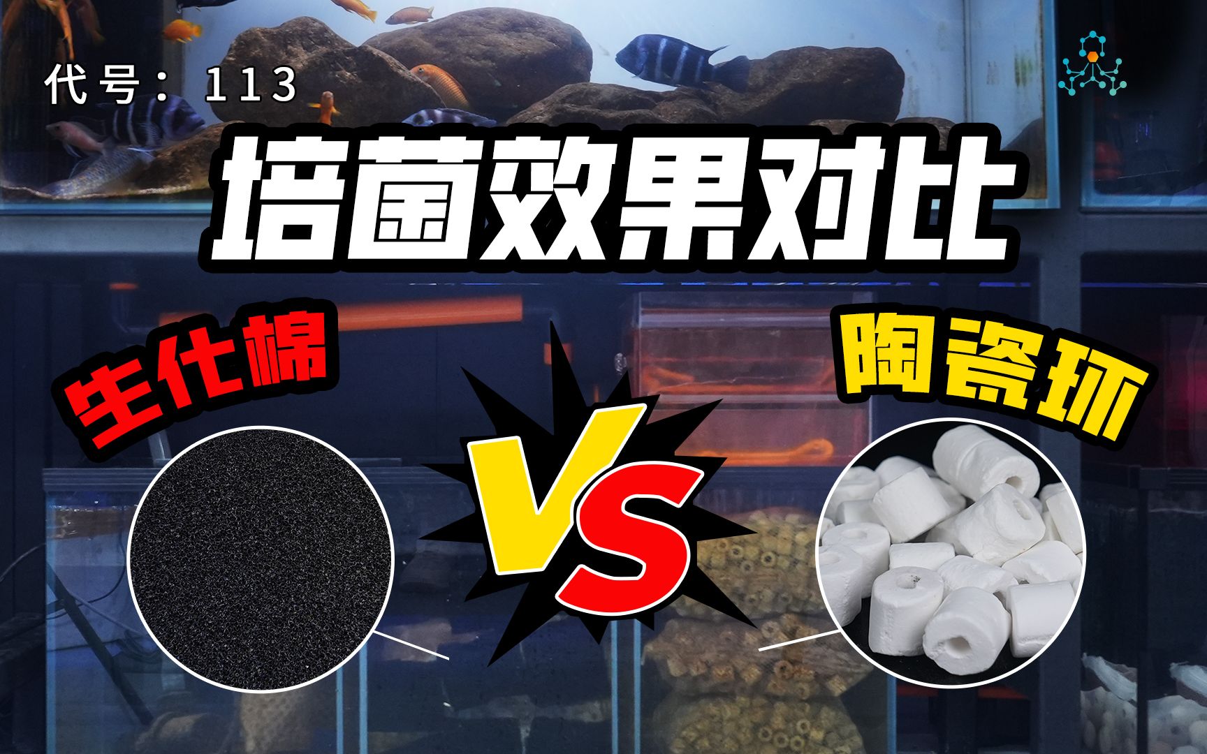探真丨生化棉和陶瓷环对比,谁的培菌效果更好?!