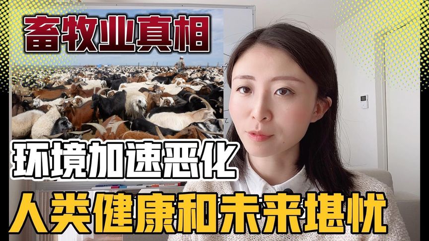 世界卫生组织郑重发声:40年内全球都要吃素!