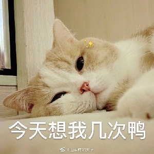 萌萌哒deKing 