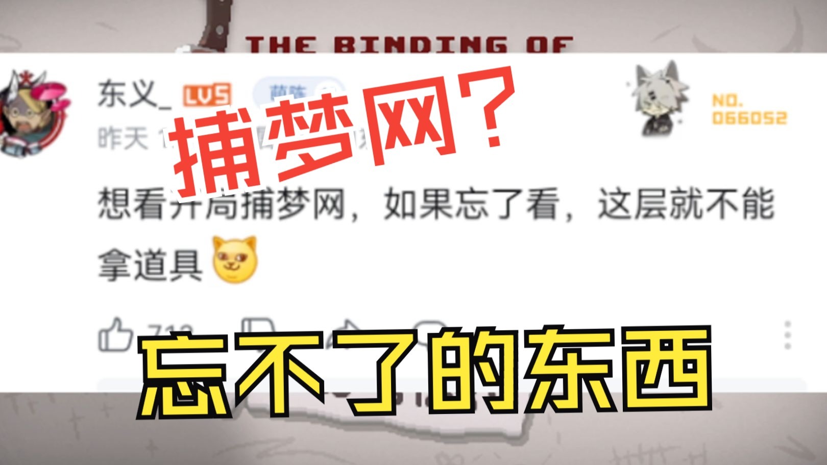 粉丝:开局捕梦网,没看不能拿 我:忘不了的捕梦网