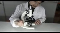 认识显微镜结构