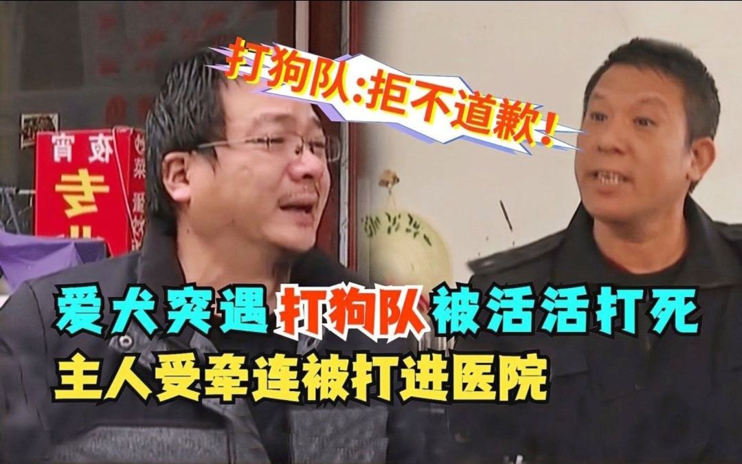 爱狗人士养了6年的狗被活活打死,主人护狗遭毒打,打狗队:不光打狗我...
