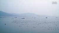 三星NX1000高清视频拍摄